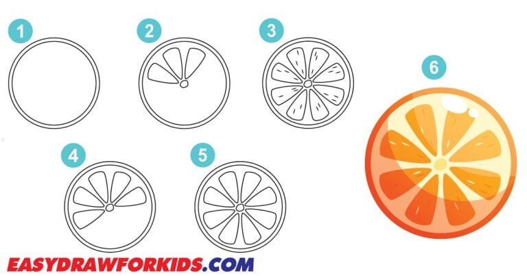 How To Draw An Orange - 5 Ways (With Pictures)