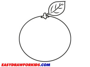 How To Draw An Orange - 5 Ways (With Pictures)