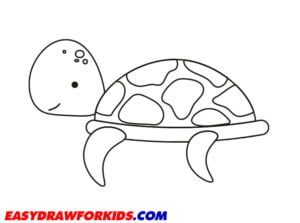 How To Draw A Turtle – 6 Ways (With Pictures)