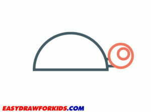 How To Draw A Turtle – 6 Ways (With Pictures)