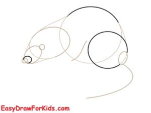 How To Draw A Mouse - 5 Ways (With Pictures)