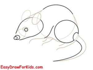 How To Draw A Mouse - 5 Ways (With Pictures)