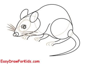 How To Draw A Mouse - 5 Ways (With Pictures)
