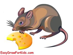 How To Draw A Mouse - 5 Ways (With Pictures)