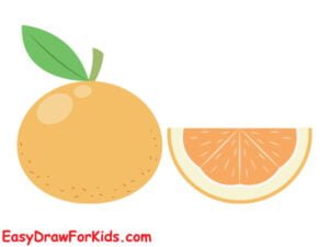 How To Draw An Orange - 5 Ways (With Pictures)