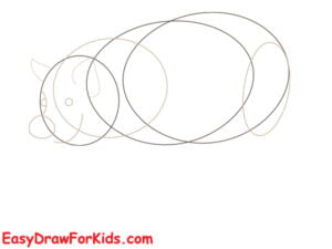 How To Draw A Pig - 8 Ways (With Pictures)