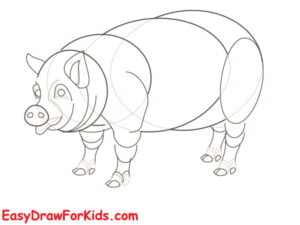 How To Draw A Pig - 8 Ways (With Pictures)