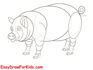 How To Draw A Pig - 8 Ways (With Pictures)