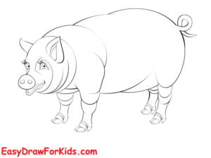 How To Draw A Pig - 8 Ways (With Pictures)