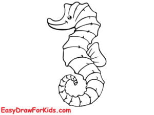 How To Draw A Seahorse - 4 Ways (With Pictures)