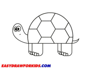How To Draw A Turtle – 6 Ways (With Pictures)