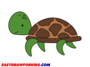 How To Draw A Turtle – 6 Ways (With Pictures)
