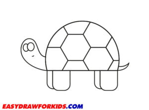 How To Draw A Turtle – 6 Ways (With Pictures)