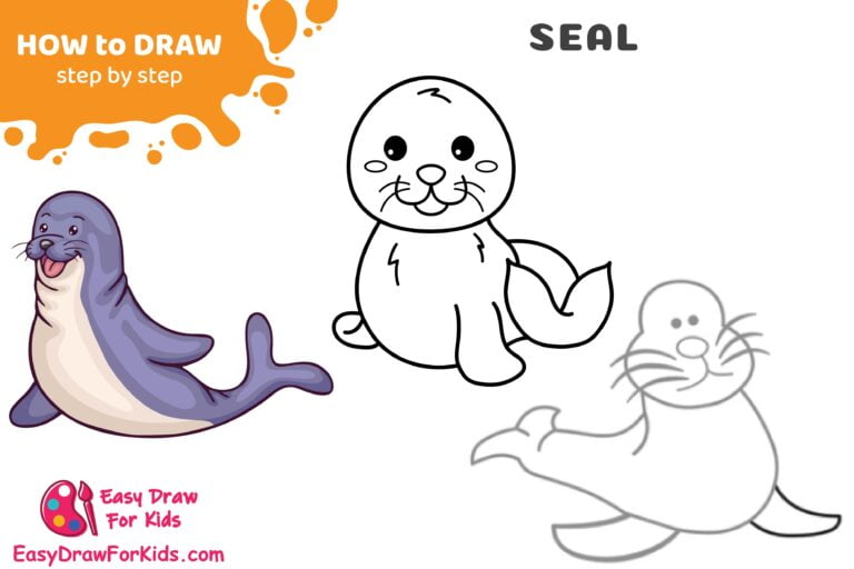 How To Draw A Seal - 3 Ways (With Pictures)