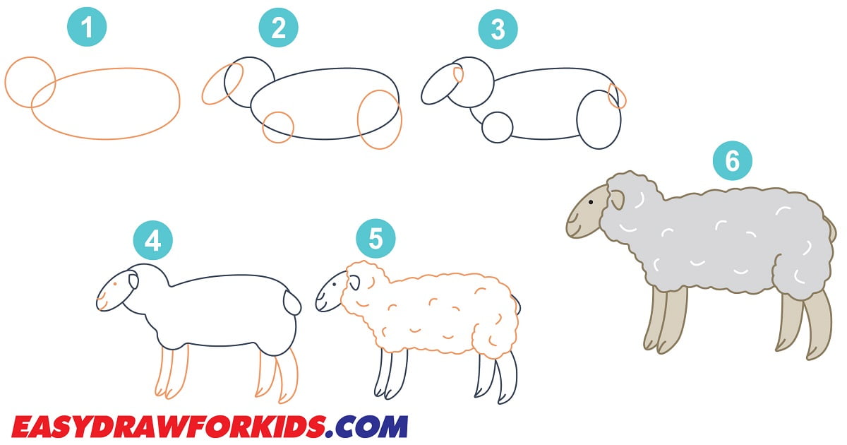 How To Draw A Sheep - 7 Ways (With Pictures)