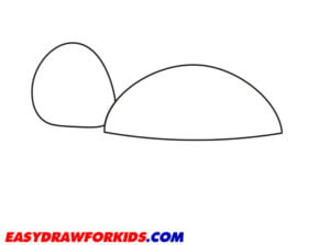 How To Draw A Turtle – 6 Ways (With Pictures)
