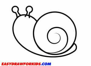 How To Draw A Snail - 8 Ways (With Pictures)
