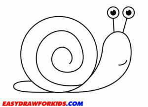 How To Draw A Snail - 8 Ways (With Pictures)