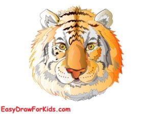 How To Draw A Tiger - 6 Ways (With Pictures)