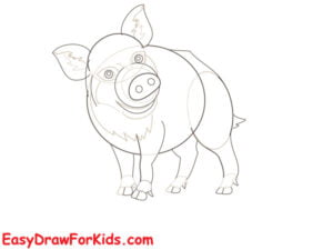 How To Draw A Pig - 8 Ways (With Pictures)