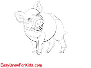 How To Draw A Pig - 8 Ways (With Pictures)
