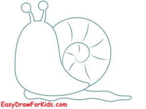 How To Draw A Snail - 8 Ways (With Pictures)