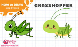 How To Draw A Grasshopper – 2 Ways (With Pictures)