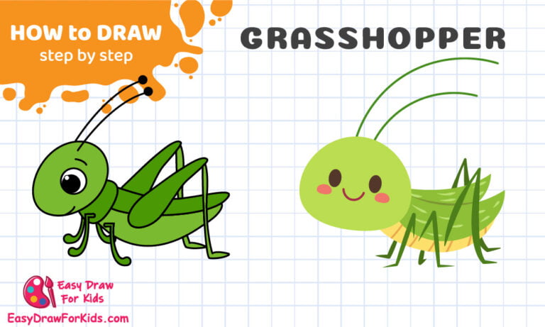 How To Draw A Grasshopper – 2 Ways (With Pictures)