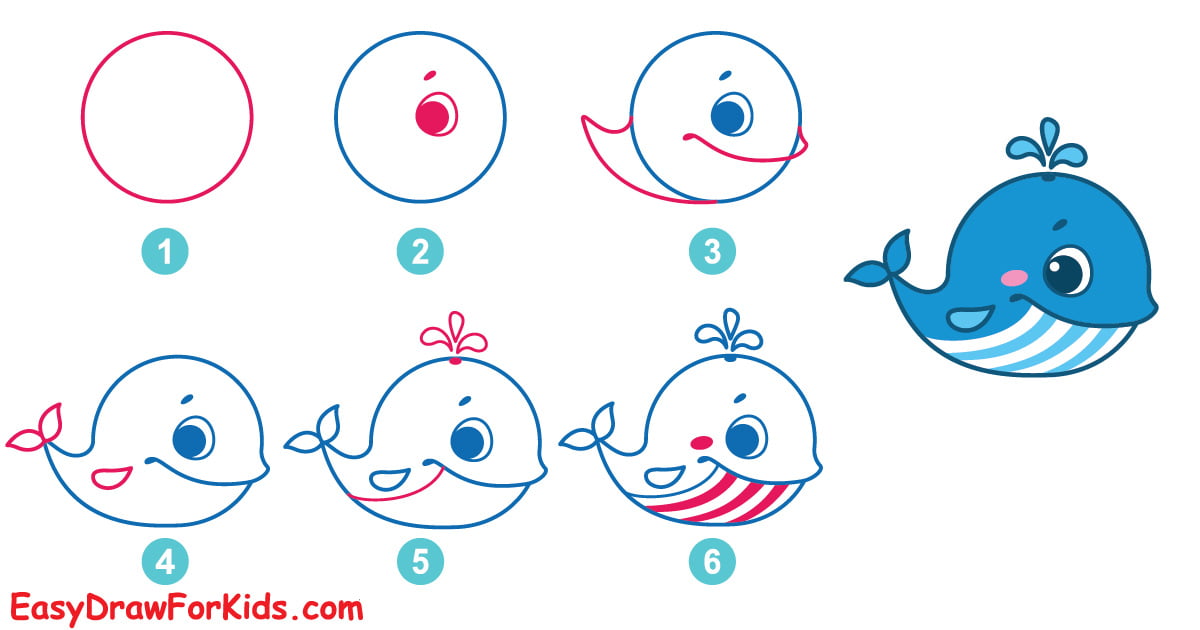How To Draw A Whale – 7 Ways (With Pictures)