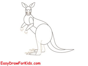 How To Draw A Kangaroo - 4 Ways (With Pictures)