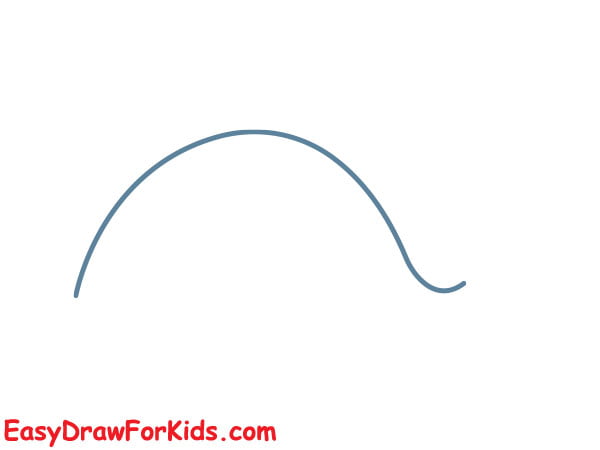 How To Draw A Whale – 7 Ways (With Pictures)
