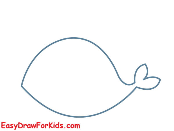 How To Draw A Whale – 7 Ways (With Pictures)