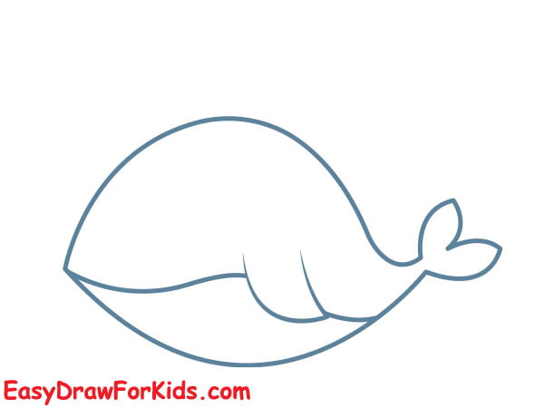 How To Draw A Whale – 7 Ways (With Pictures)