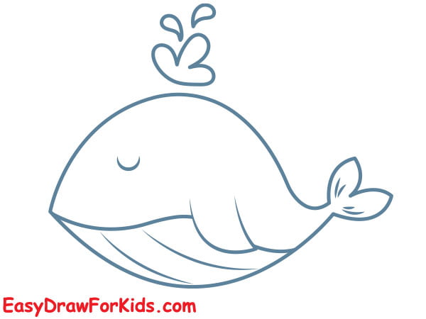 How To Draw A Whale – 7 Ways (With Pictures)