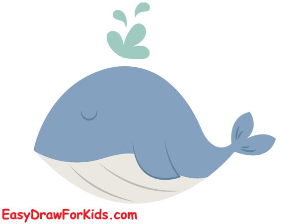 How To Draw A Whale – 7 Ways (With Pictures)