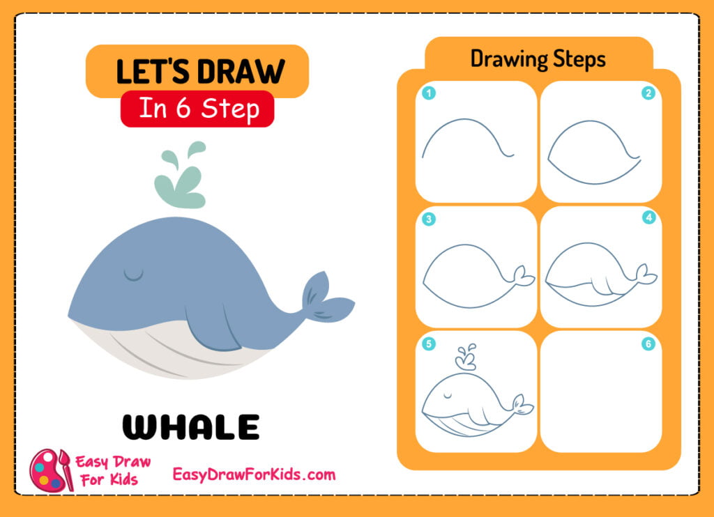 How To Draw A Whale – 7 Ways (With Pictures)