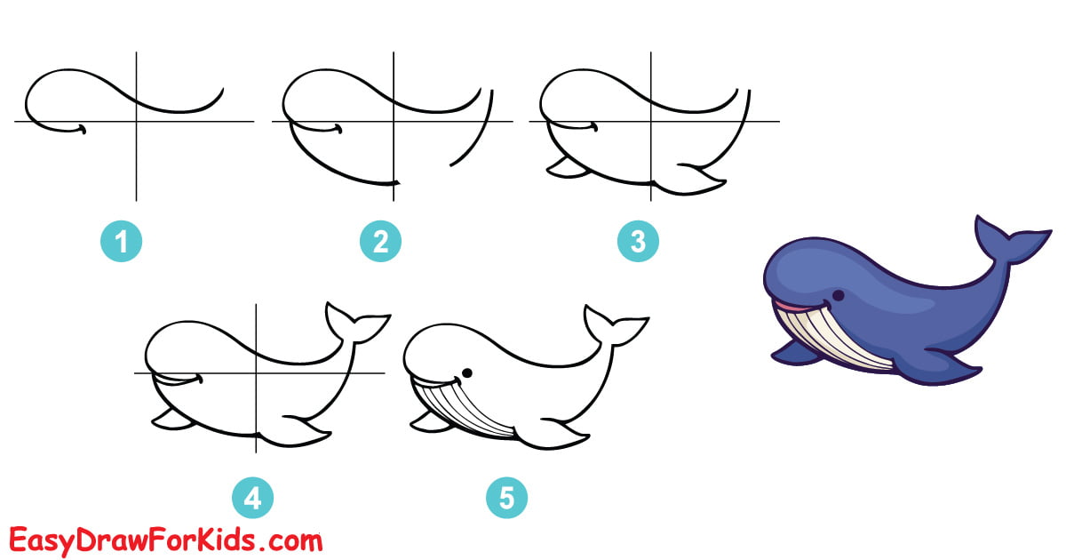 How To Draw A Whale – 7 Ways (With Pictures)