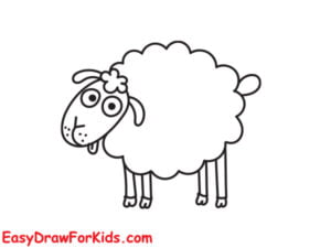 How To Draw A Sheep - 7 Ways (With Pictures)