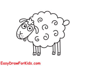 How To Draw A Sheep - 7 Ways (With Pictures)