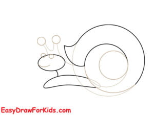 How To Draw A Snail - 8 Ways (With Pictures)