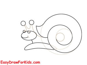 How To Draw A Snail - 8 Ways (With Pictures)