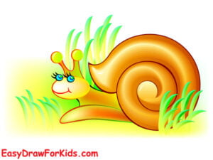 How To Draw A Snail - 8 Ways (With Pictures)