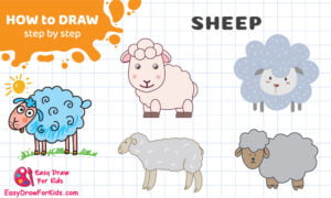 How To Draw A Sheep - 7 Ways (With Pictures)