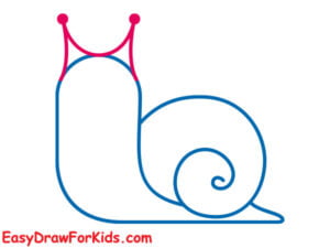 How To Draw A Snail - 8 Ways (With Pictures)