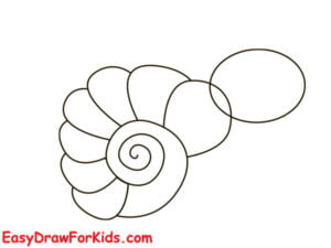 How To Draw A Snail - 8 Ways (With Pictures)