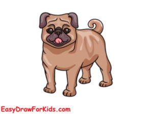 How To Draw A Pug - 2 Ways (With Pictures)