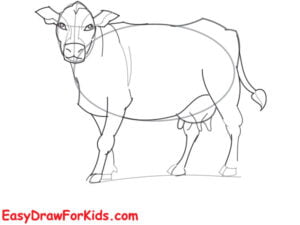 How To Draw A Cow - 7 Ways (With Pictures)