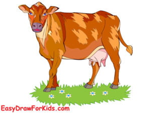 How To Draw A Cow - 7 Ways (With Pictures)