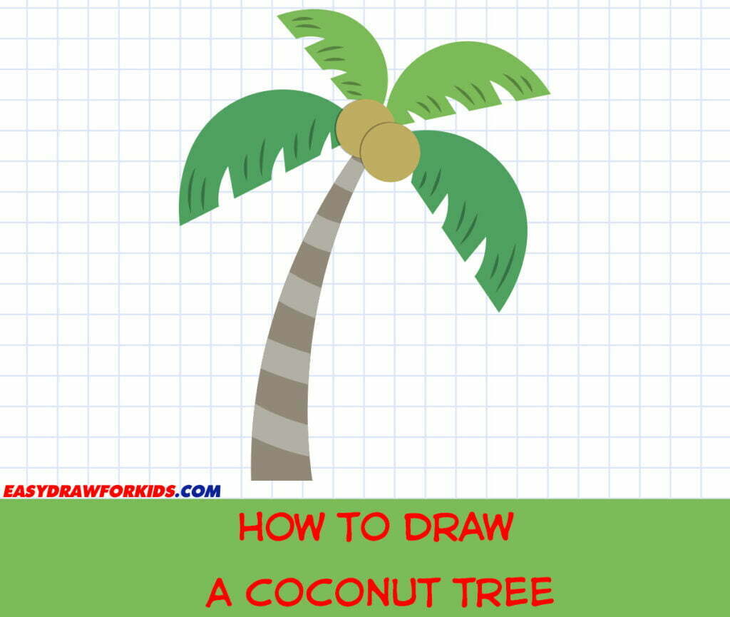How To Draw A Coconut Tree - Easy Draw For Kids