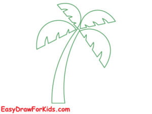 How To Draw A Coconut Tree - 7 Steps (With Pictures)